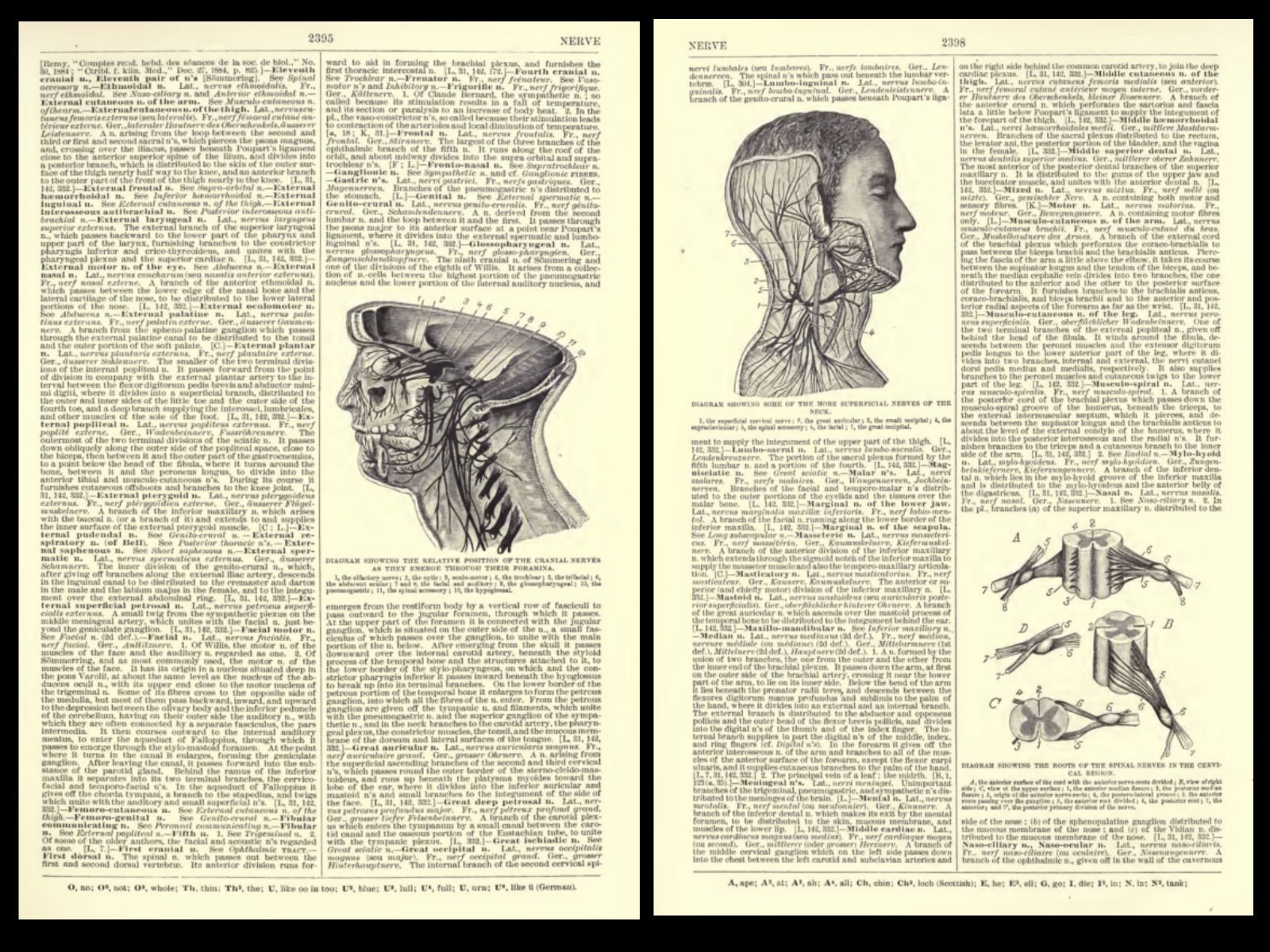 Rare Illustrated Encyclopedic Medical Dictionary Complete 4 Volume Set ...