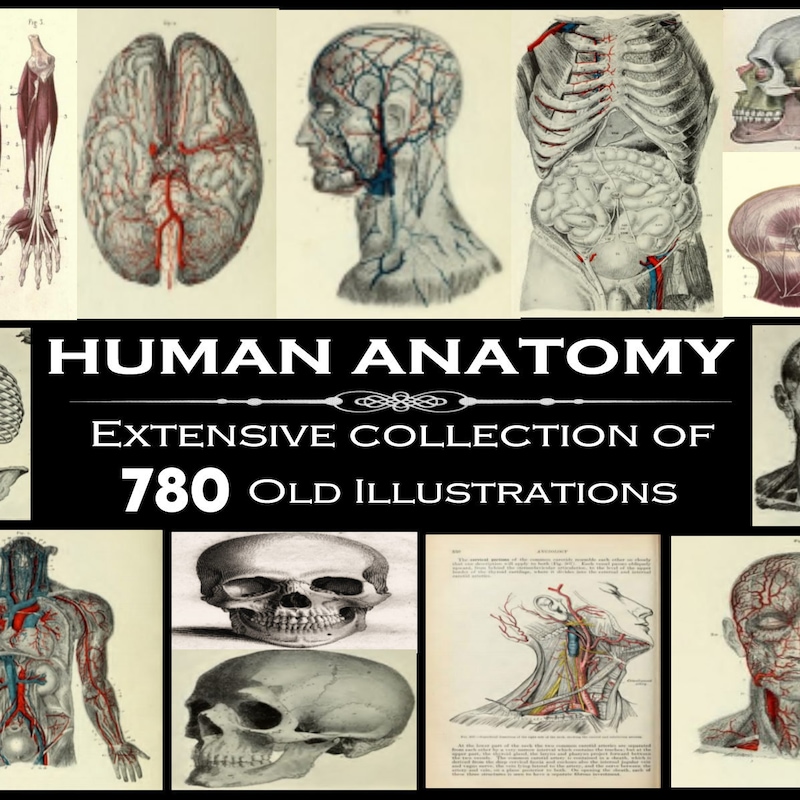 The Naturals Book Poster - Etsy UK