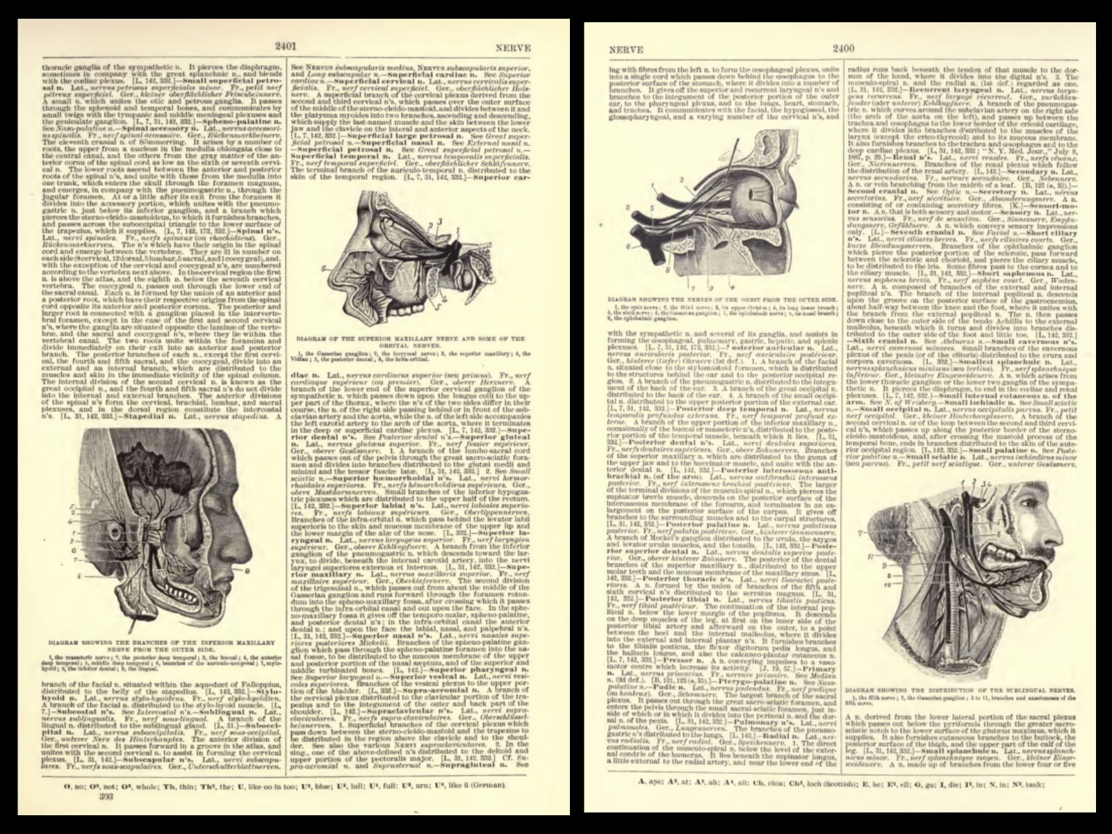 Rare Illustrated Encyclopedic Medical Dictionary Complete 4 Volume Set ...