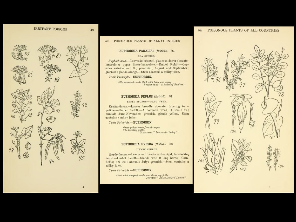 POISONOUS PLANTS - 115 Rare Books - Medical Botany, Toxic, Noxious ...