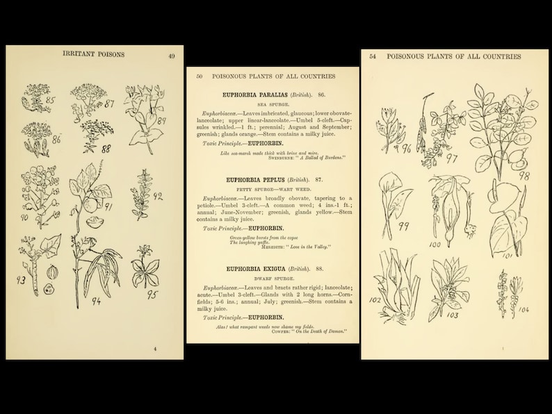 POISONOUS PLANTS 40 Old Books Medical Botany, Toxic, Noxious, Deadly ...
