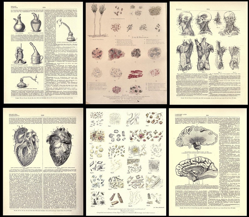 Rare Illustrated Encyclopedic Medical Dictionary - Complete 4 Volume ...