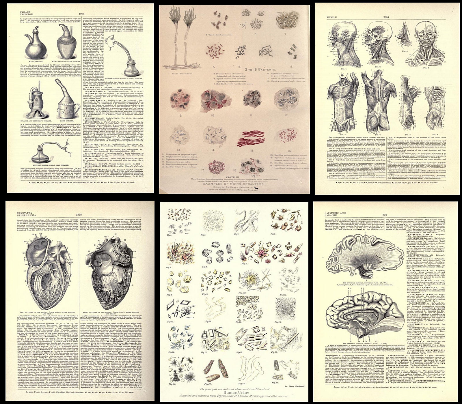 Rare Illustrated Encyclopedic Medical Dictionary - Complete 4 Volume ...