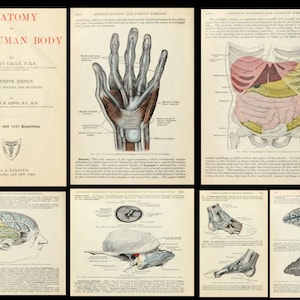 25 OLD MEDICAL BOOKS - Rare Illustrated Reference Works & Textbooks ...