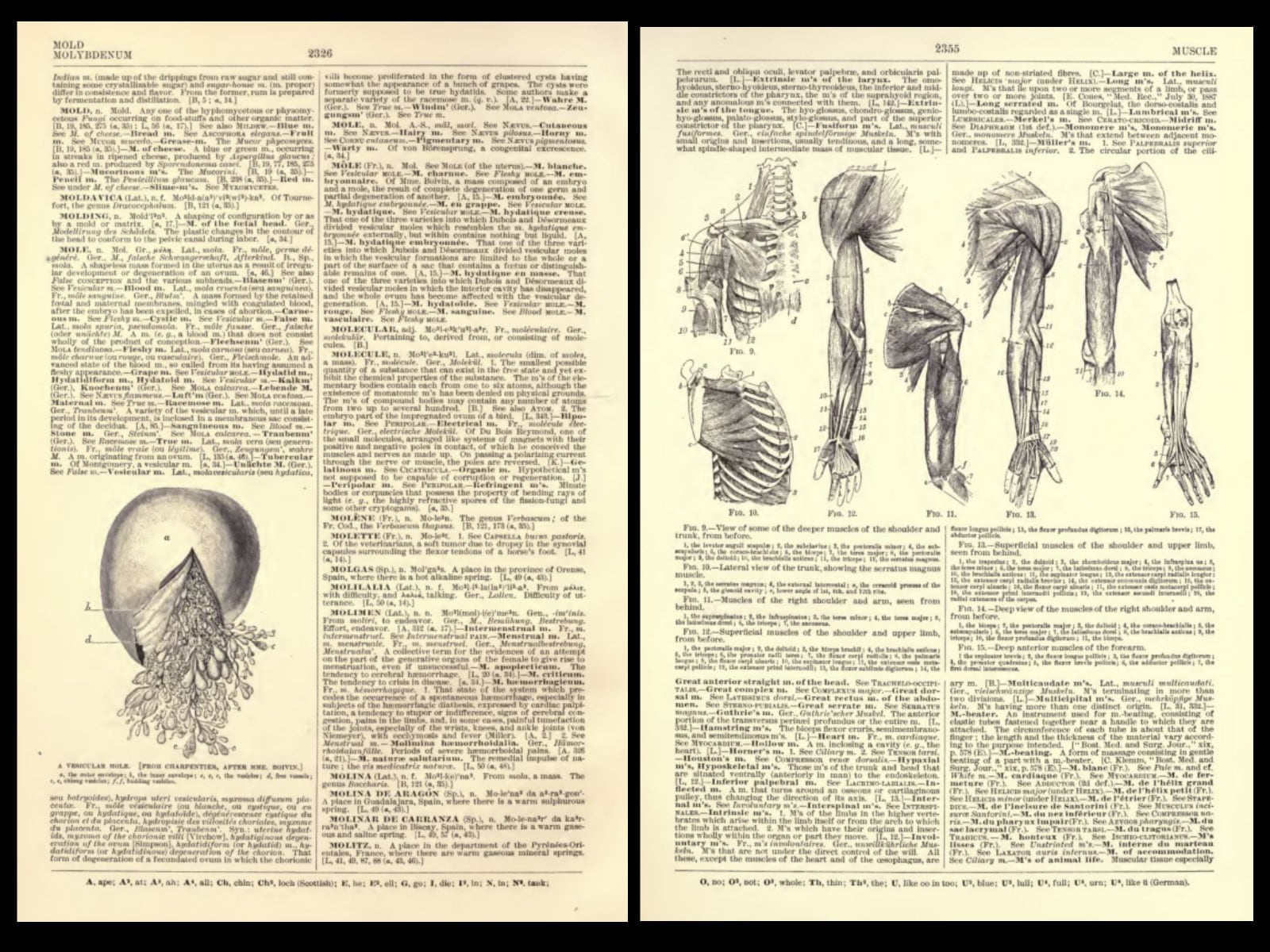 Rare Illustrated Encyclopedic Medical Dictionary - Complete 4 Volume ...