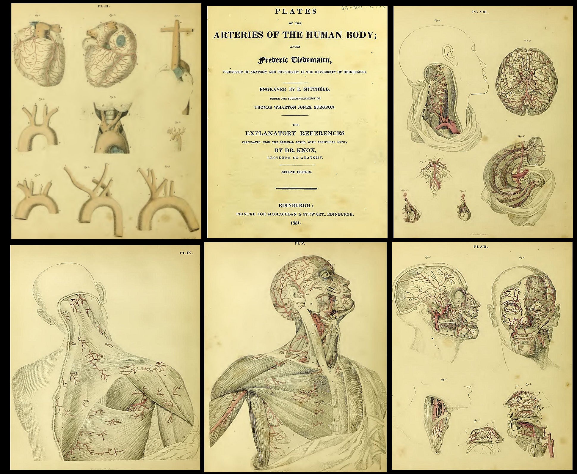 140 PATHOLOGY BOOKS, Post-mortem Examination, Autopsy, Dissection ...