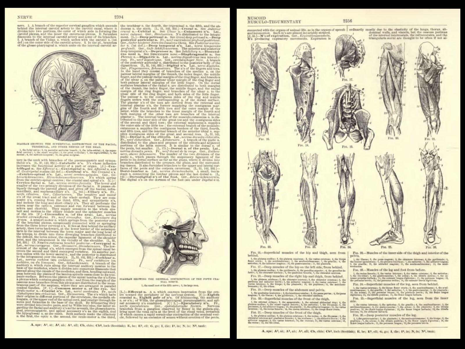 Rare Illustrated Encyclopedic Medical Dictionary Complete 4 Volume Set ...