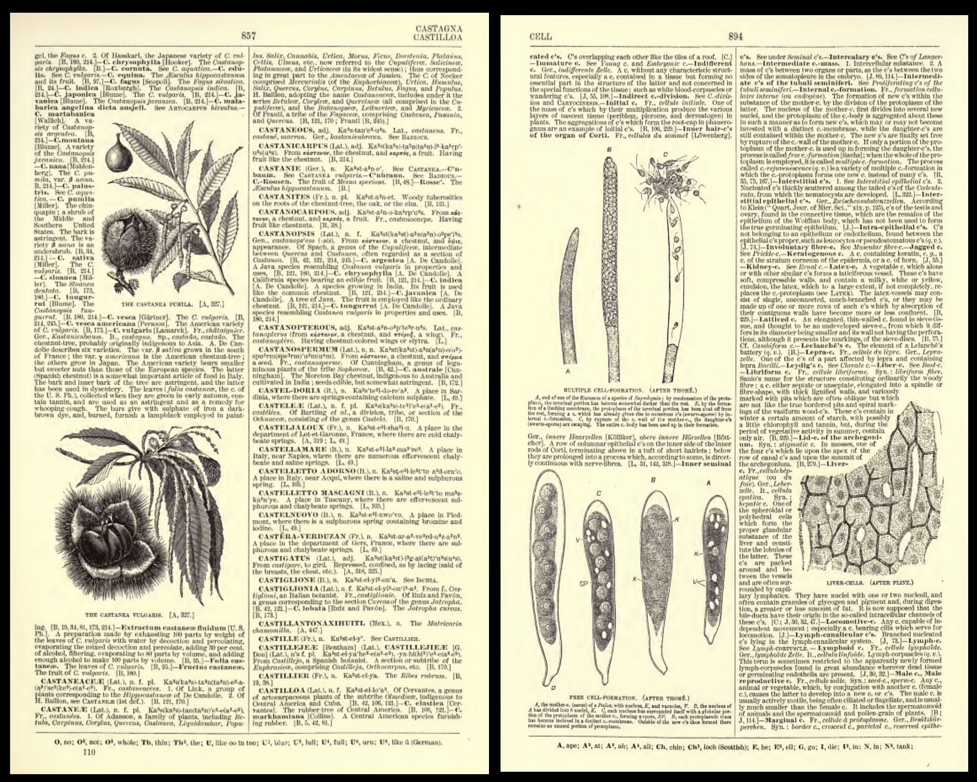 Rare Illustrated Encyclopedic Medical Dictionary - Complete 4 Volume ...