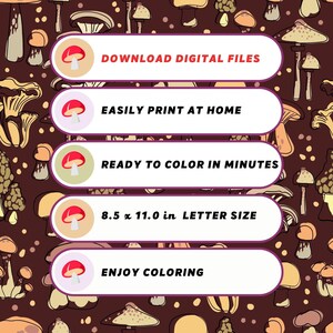 25 Mushrooms Coloring Page Book, Adults Kids Coloring Pages, Instant ...