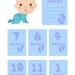 Baby Boy Milestone Cards Printable, Baby Shower Gift, New Baby ...