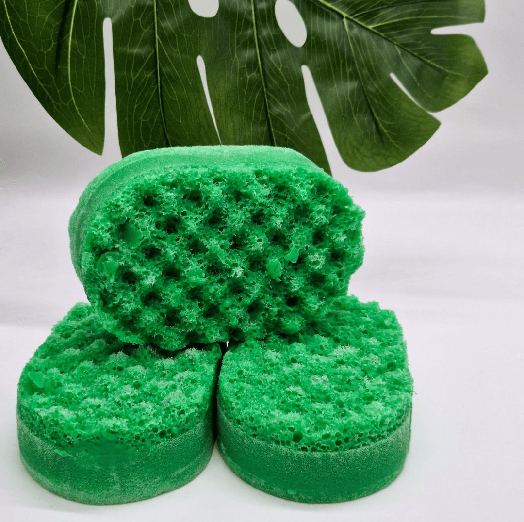 Watermelon Soap Sponge - Etsy