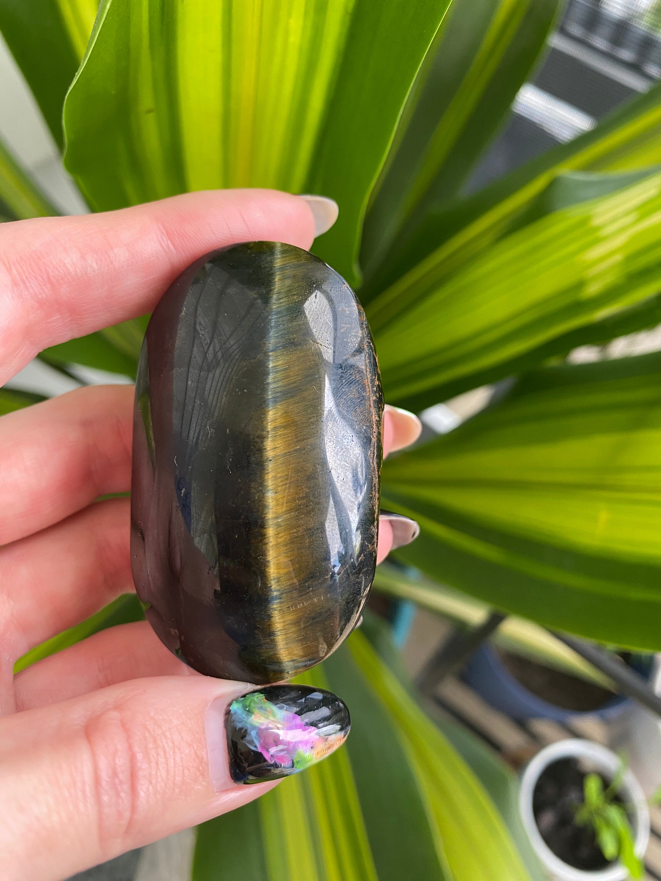 Stunning Blue Tiger Eye Palm Stone Hawks Eye Palm Stone Blue Tiger Eye ...
