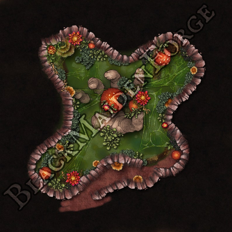 Battle Maps-the Fey Wild Camps and Caves - Etsy