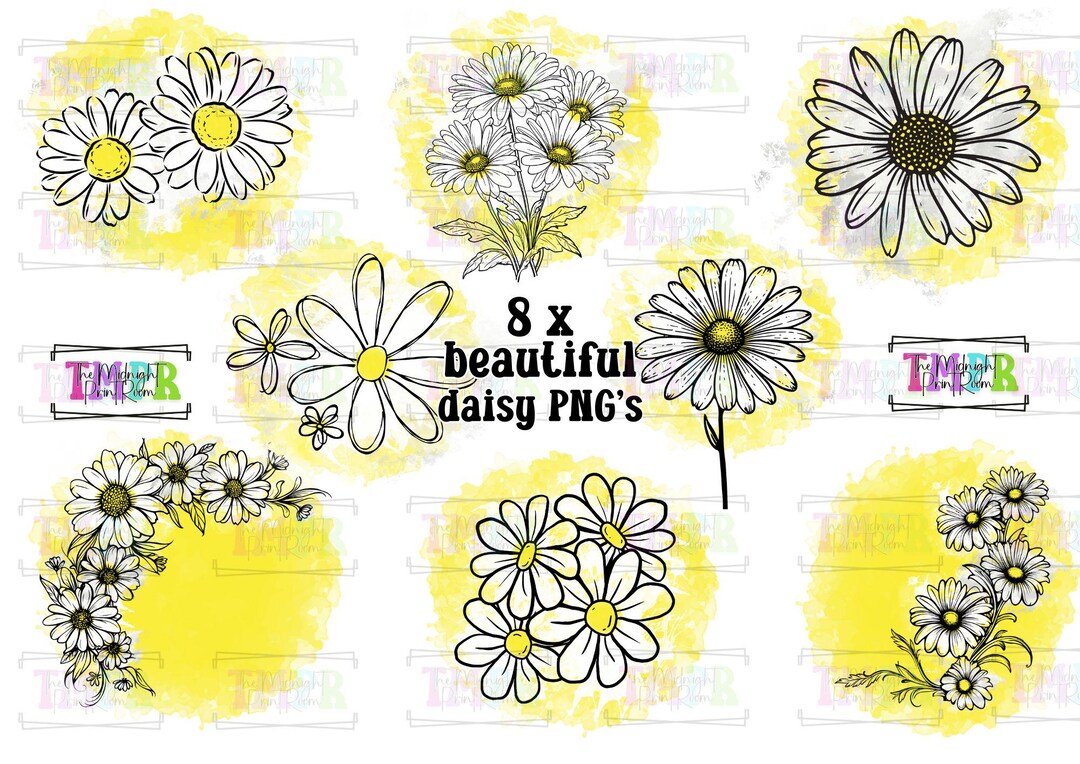 Watercolour Splash Clipart 8 X Daisy PNG Beautiful Daisies Personalise ...
