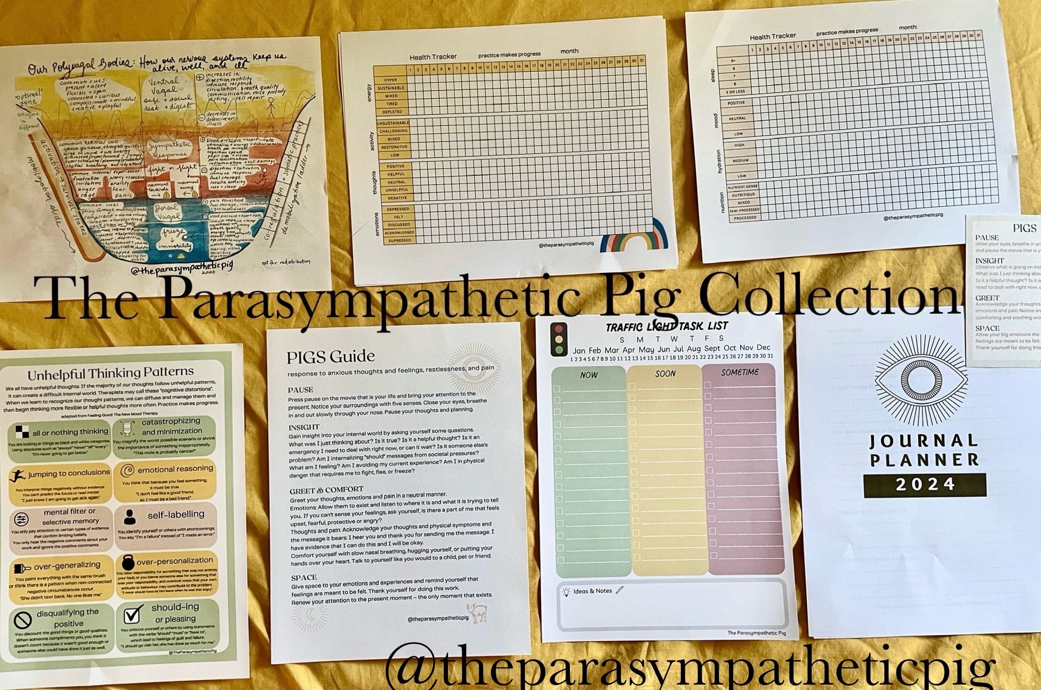 Polyvagal Theory Ladder Map | Nervous System Regulation Poster, Trauma ...