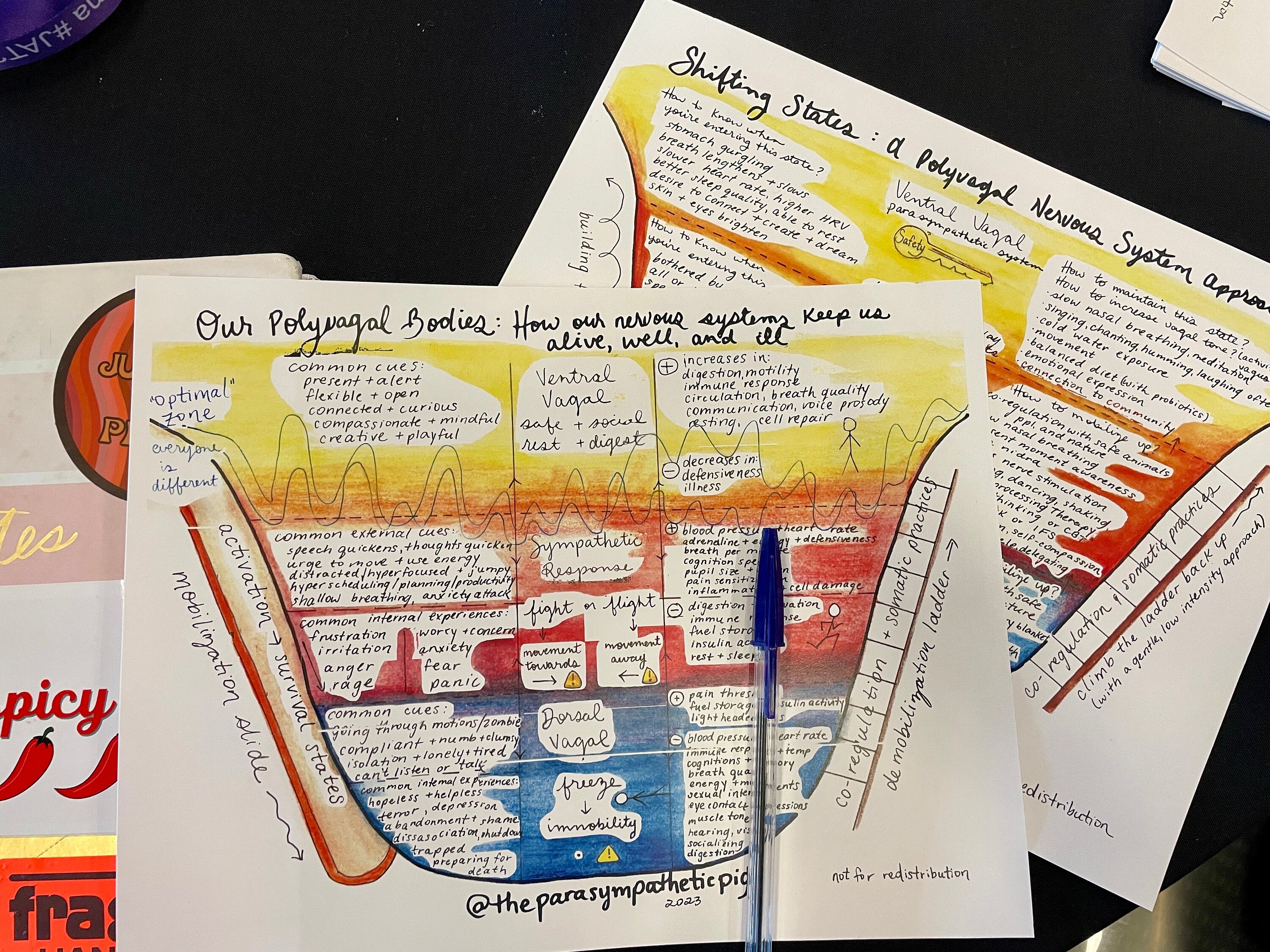 Polyvagal Theory Ladder Map | Nervous System Regulation Poster, Trauma ...