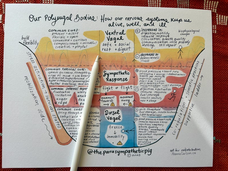 Trauma Healing Map | Autonomic Nervous System Regulation Poster ...