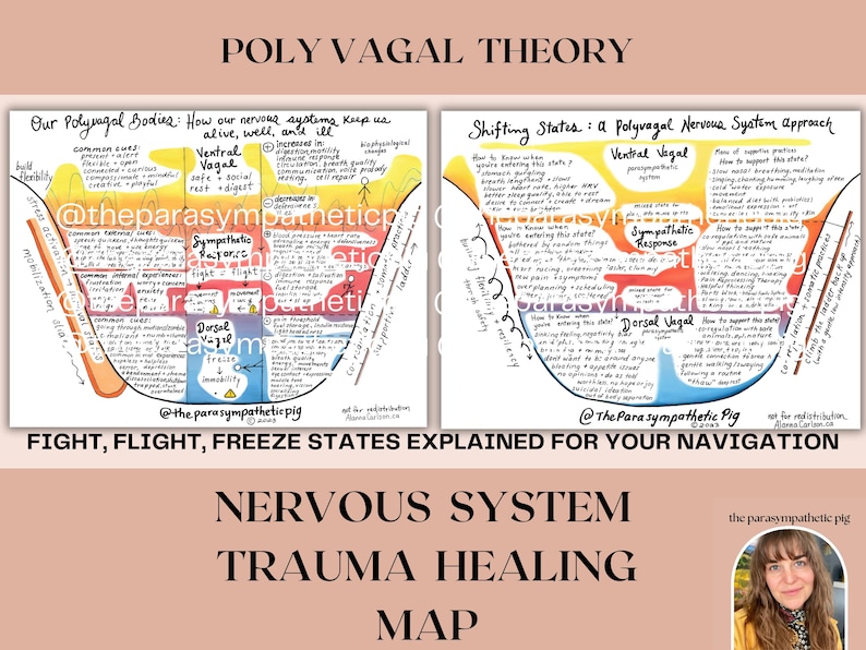 Trauma Healing Map | Autonomic Nervous System Regulation Poster ...