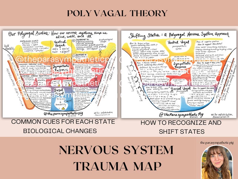 Trauma Healing Map | Autonomic Nervous System Regulation Poster ...