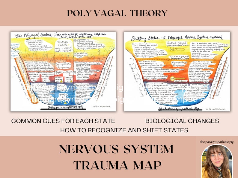 Polyvagal Theory Ladder Map | Nervous System Regulation Poster, Trauma ...
