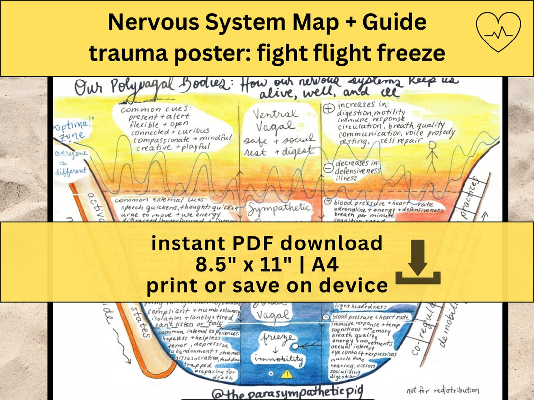 Polyvagal Theory Ladder Map Nervous System Regulation Poster, Vagus ...