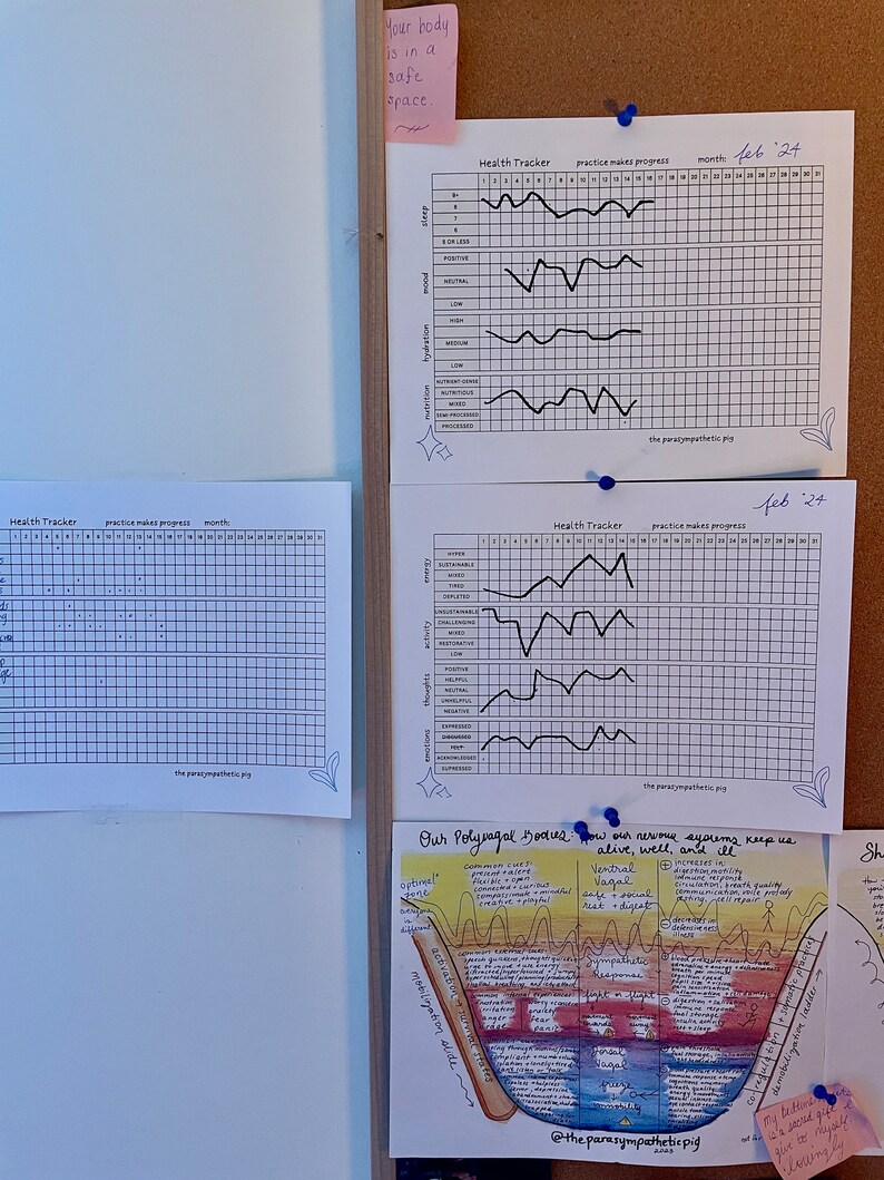 Polyvagal Theory Ladder Map Nervous System Regulation Poster, Trauma ...