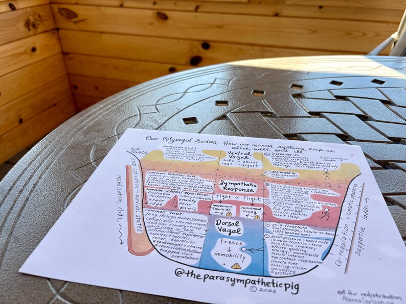 Trauma Healing Map | Autonomic Nervous System Regulation Poster ...