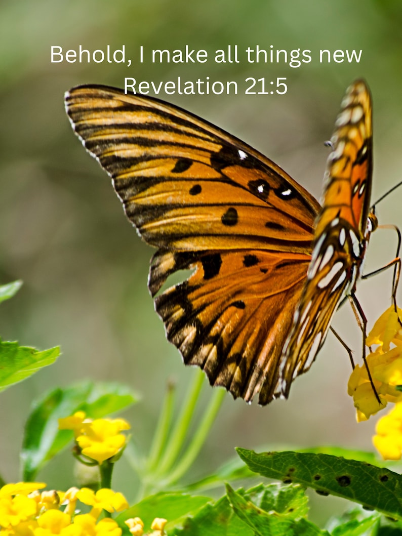 Butterfly Wall Art With Bible Verse - Etsy