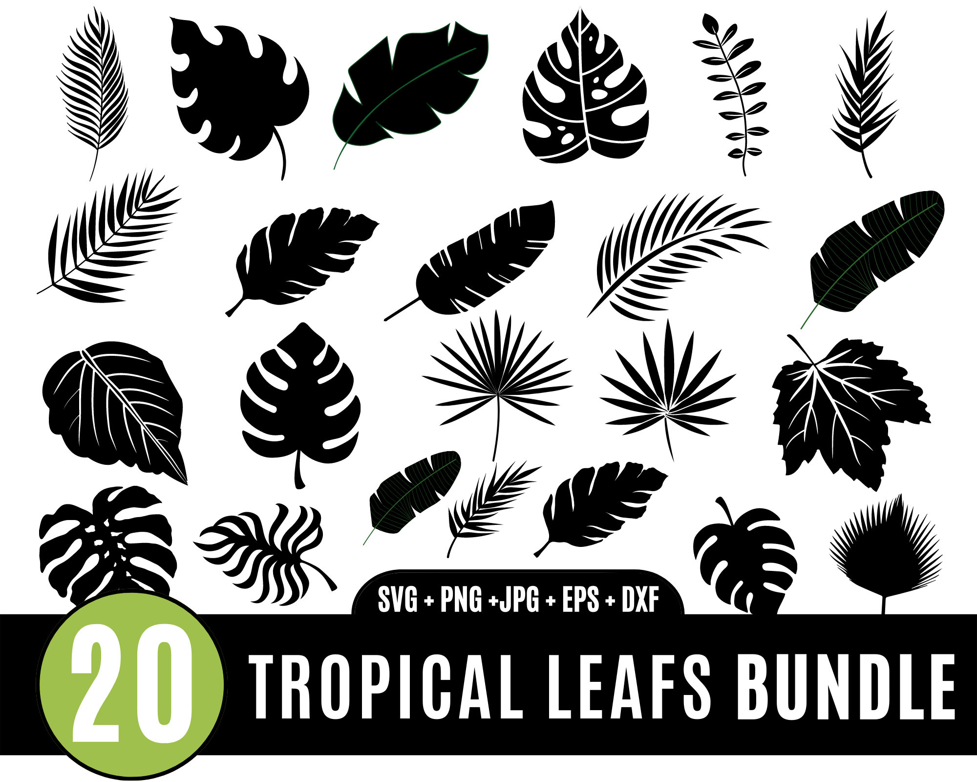 Tropical Palm Leaf Svg Tropical Leaves Svg Tropical Party - Etsy
