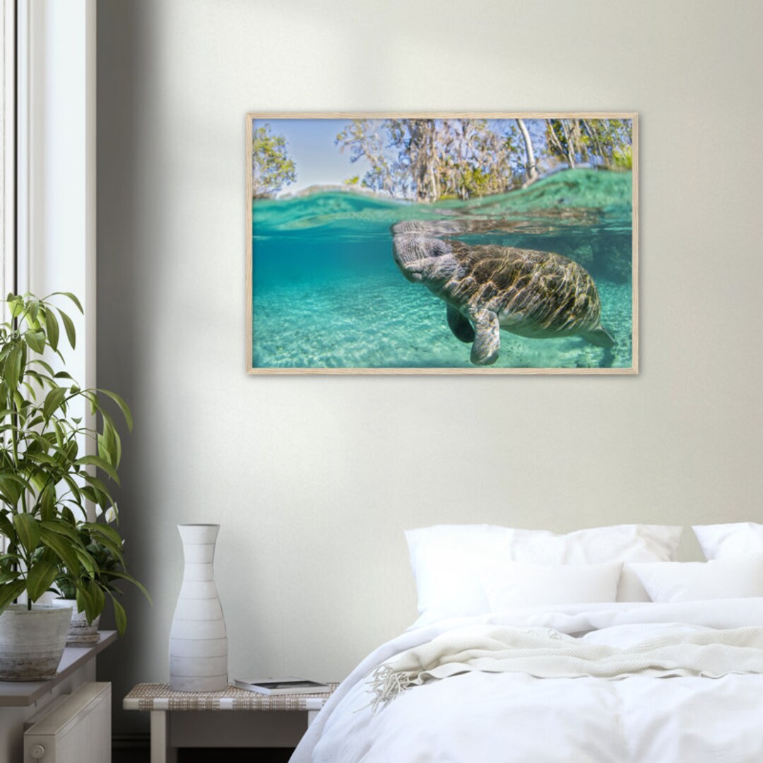 Manatee Framed Coastal Wall Art - Etsy