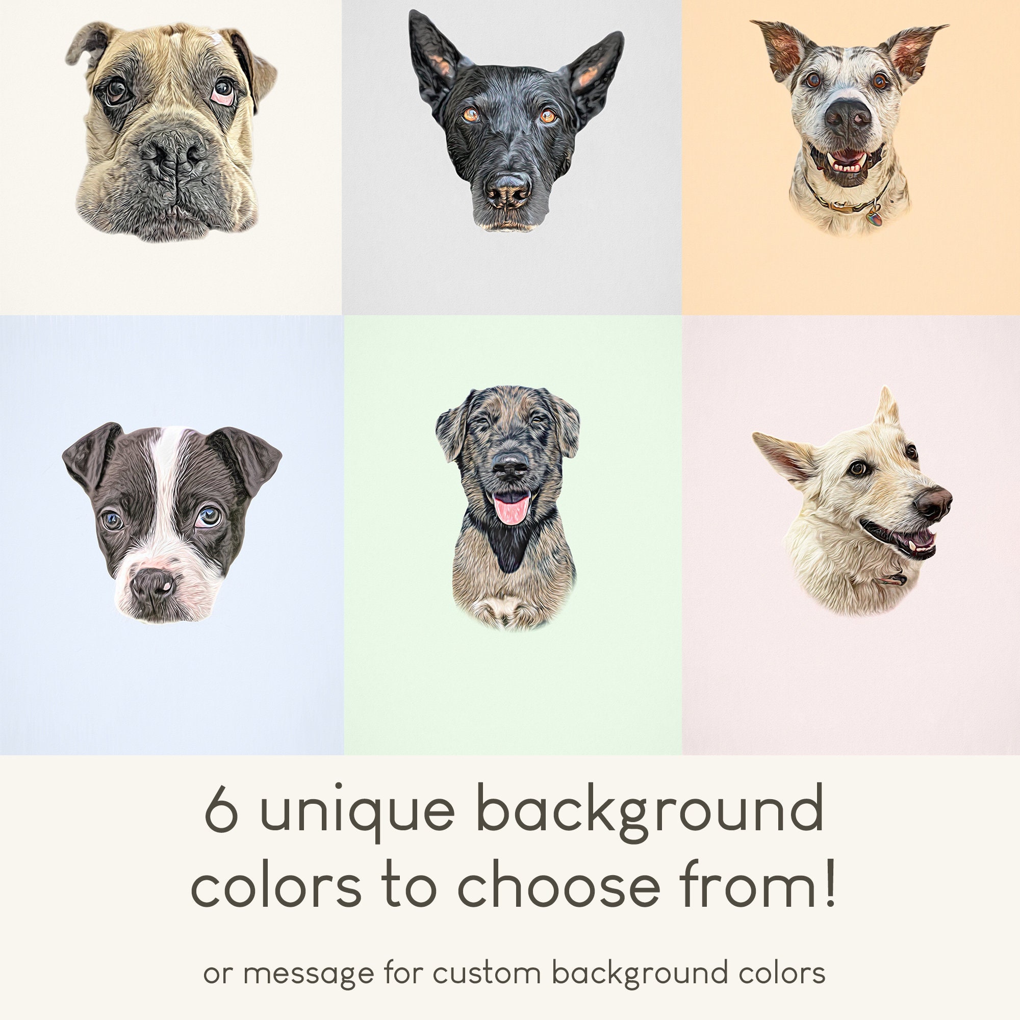 Custom Pet Swim Trunk | Made Using Photo of Pet | Custom Dog Bathing ...