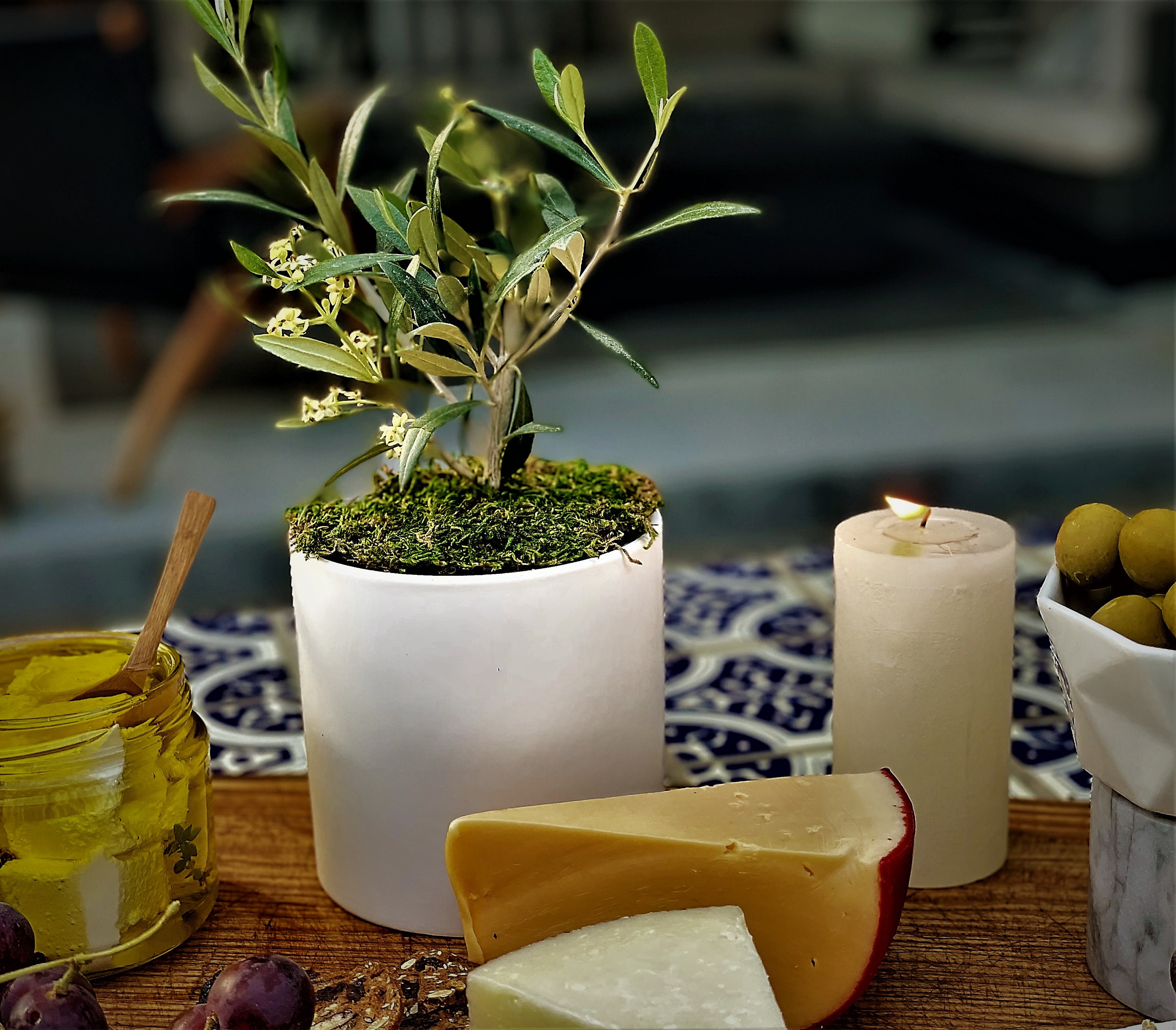 Olive Tree in White Ceramic Pot - Etsy