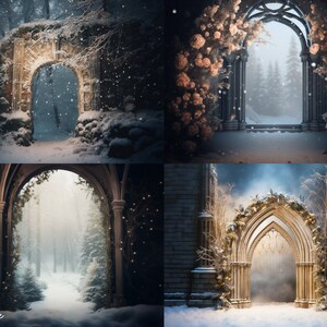 12x Snowy Arch Backdrops, Winter Digital Backgrounds, Studio Backdrop ...