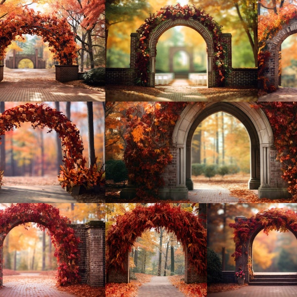 Arch Backdrop - Etsy