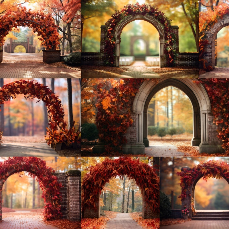 Arch Backdrop - Etsy