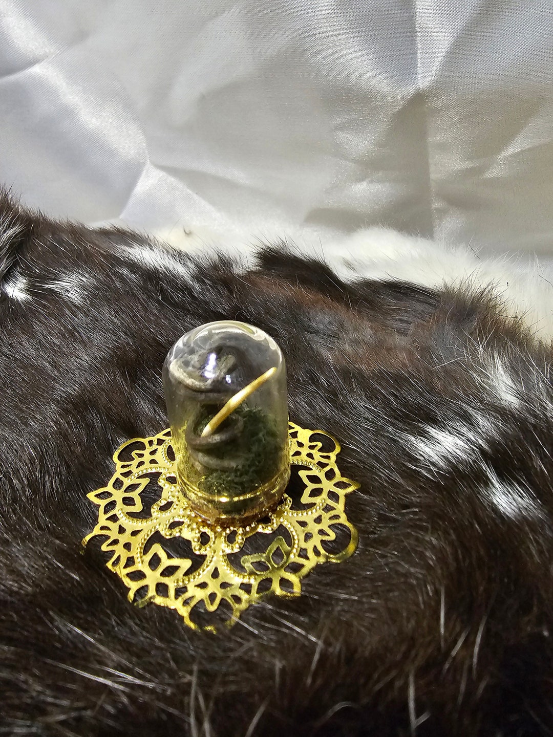 Rat Tooth Dome - Etsy
