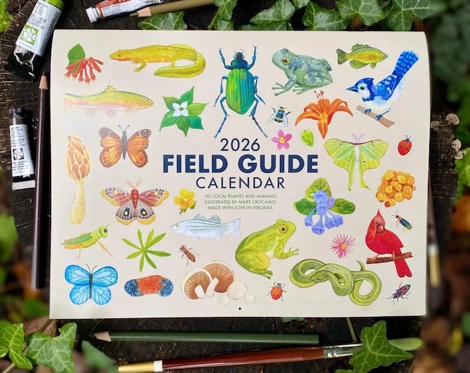 2026 Field Guide Monthly Wall Calendar - 11"x8.5" Hand-painted ...