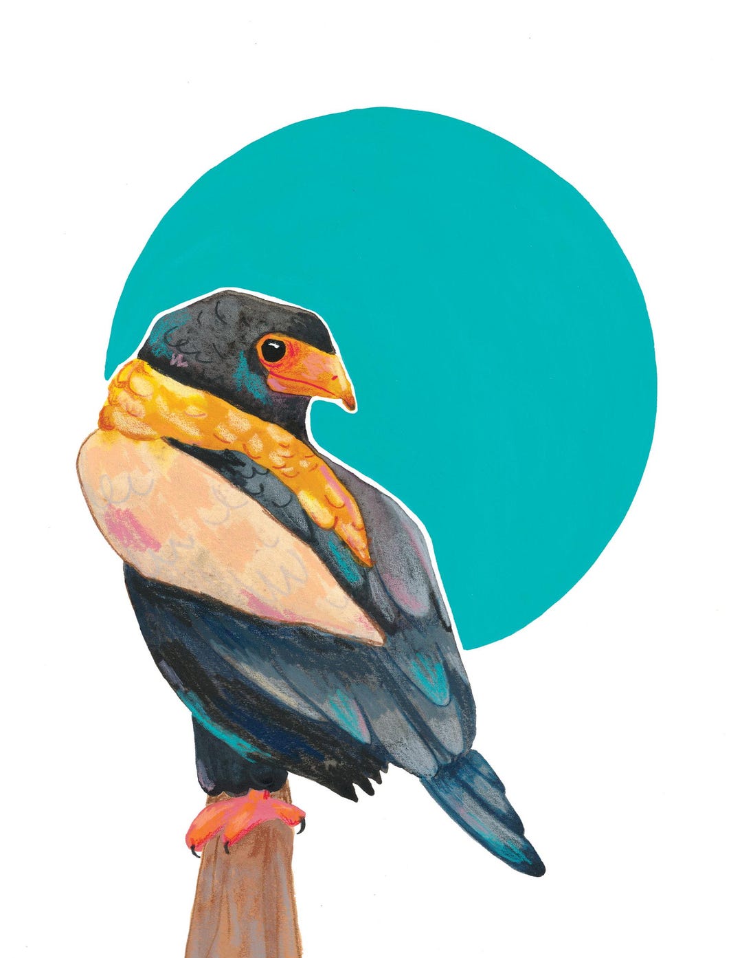 Bateleur Illustration Print - Watercolor, Pastel, Colored Pencil Bird ...