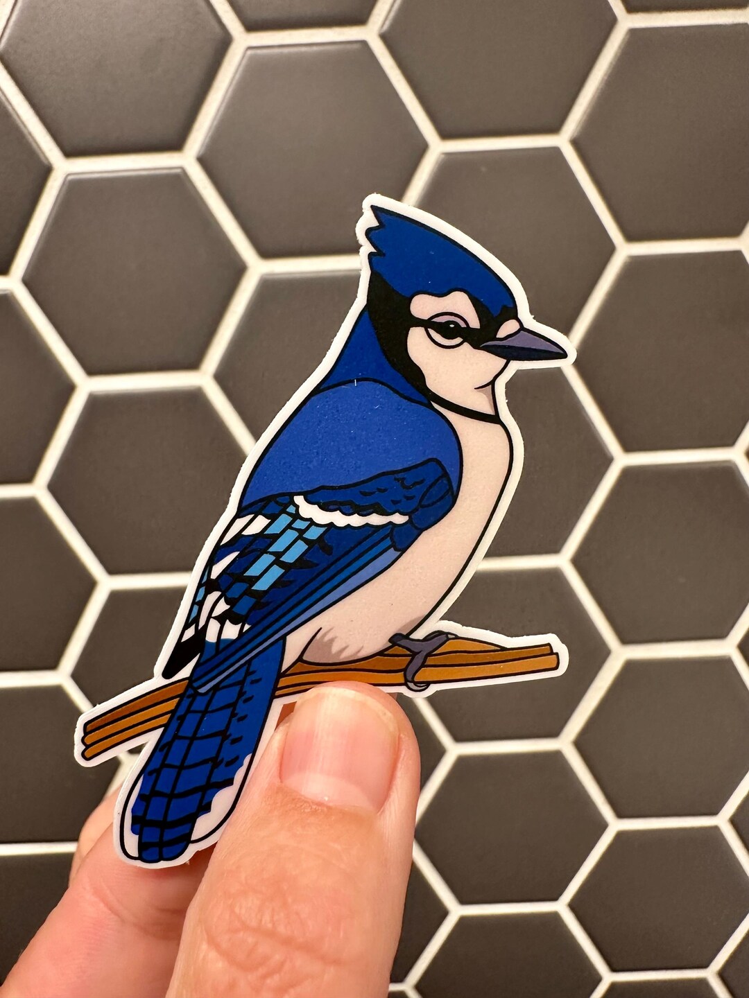 Blue Jay Sticker: Prince Edward Island Bird, Weatherproof Vinyl Sticker ...