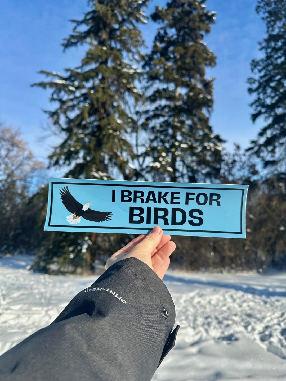 I Brake for Birds Bumper Sticker - Etsy