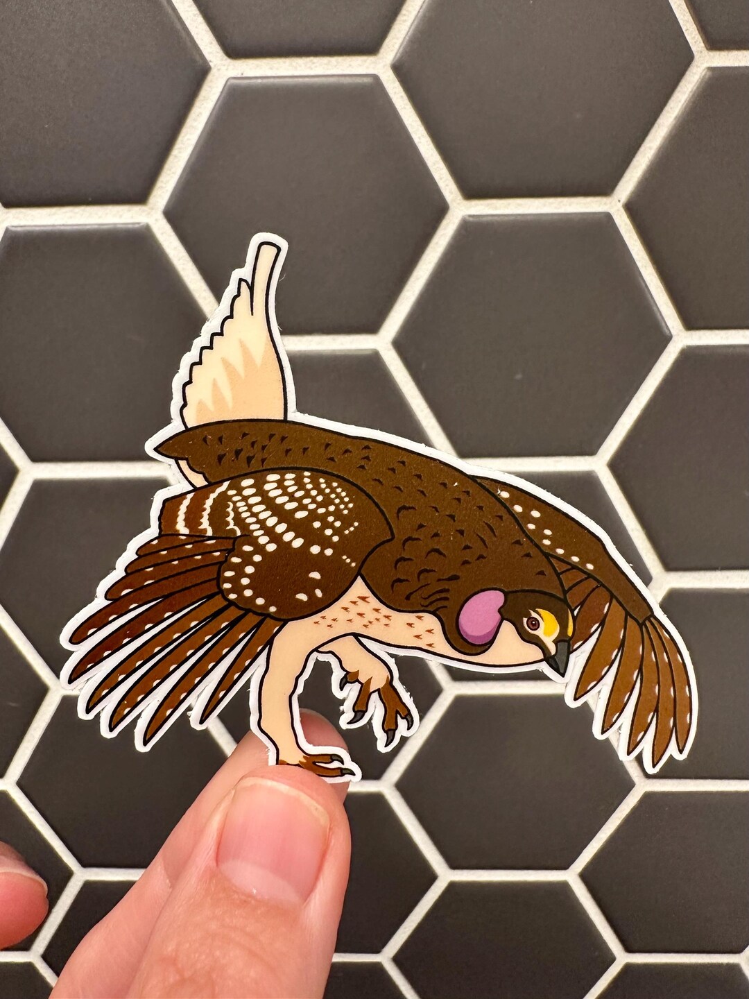 Sharp-tailed Grouse Sticker: Saskatchewan Provincial Bird Vinyl Sticker ...