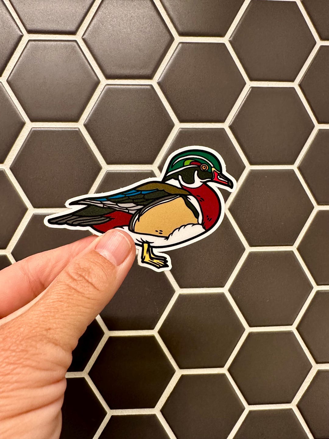Wood Duck Sticker: Vinyl Bird Sticker - Etsy