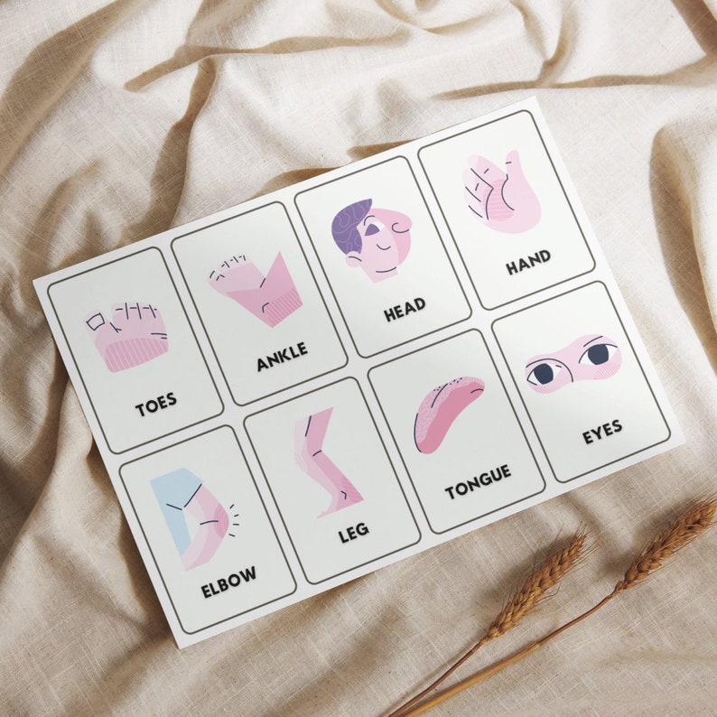 15 Interactive Digital Flashcards of Body Parts for Kids Learn Body ...