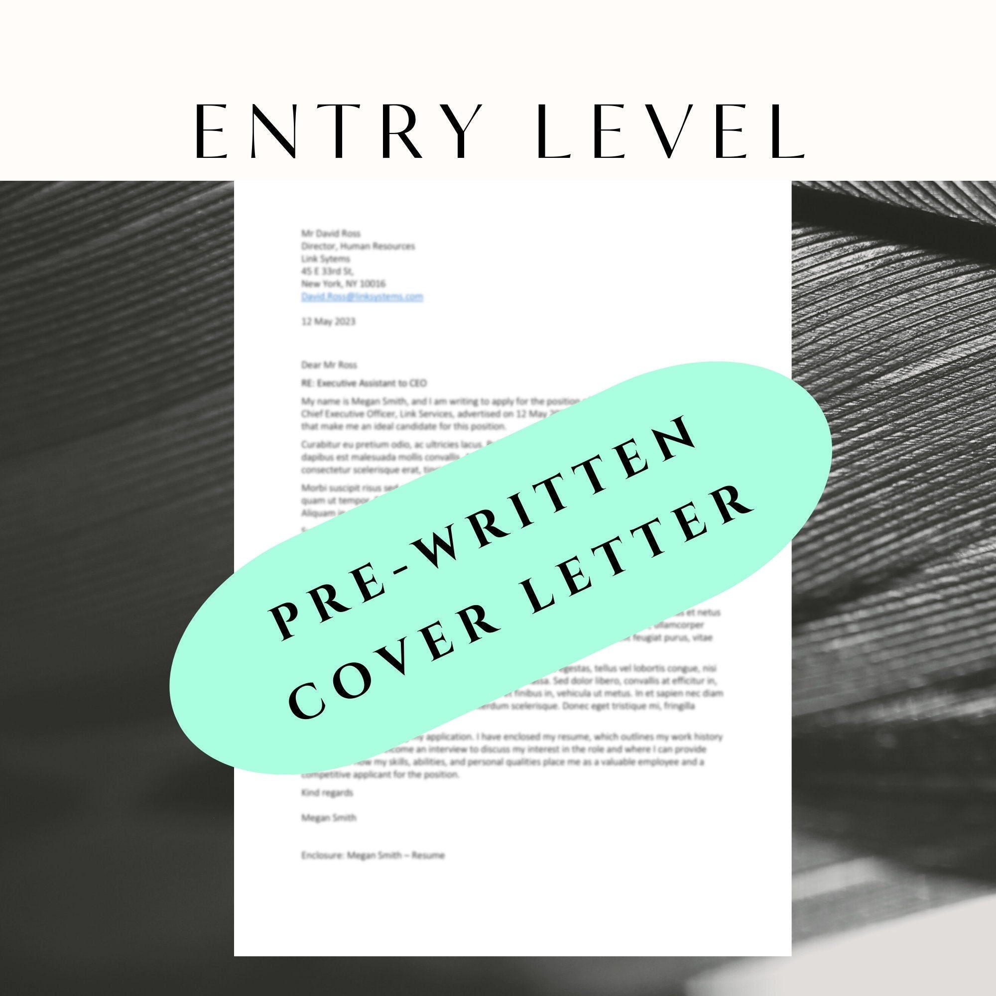 Entry Level Cover Letter Example