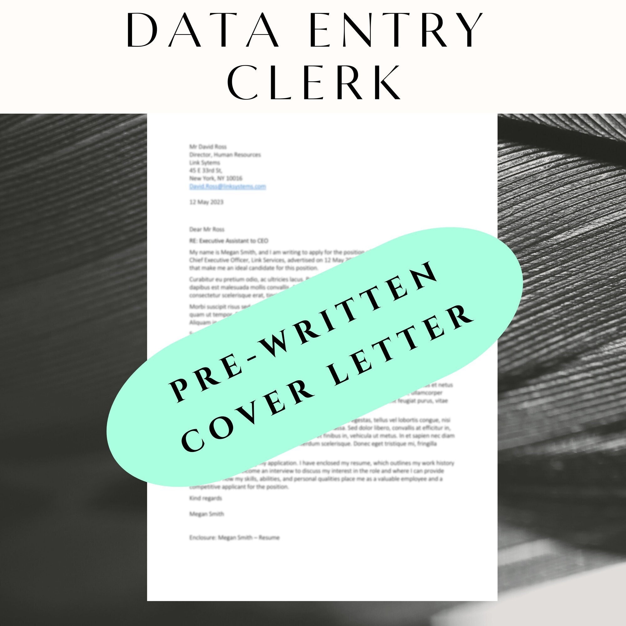 Data Entry Clerk