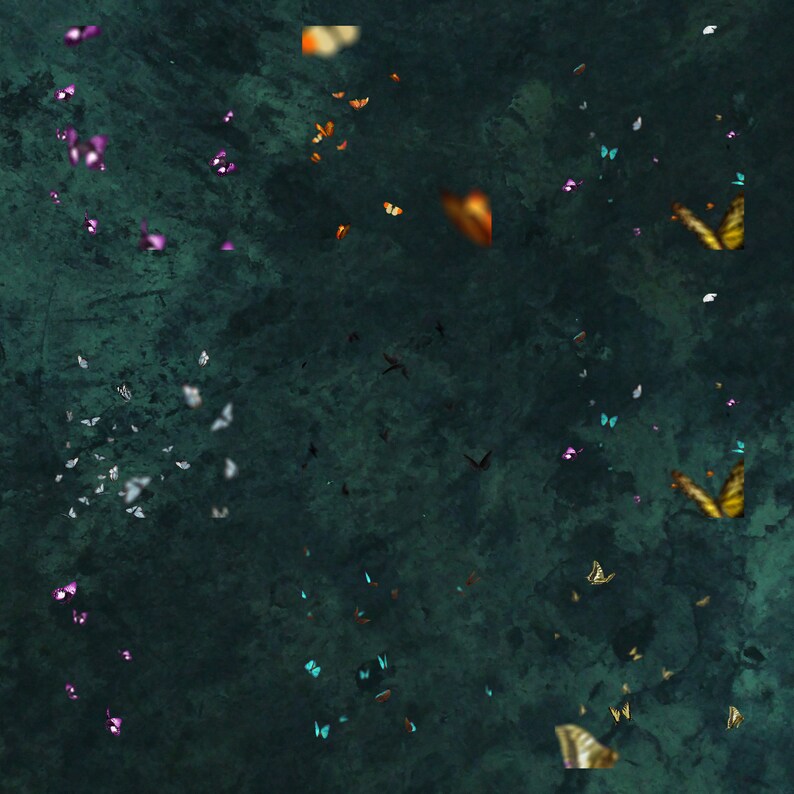 50 PNG Butterfly Overlays, Tropical, Insect Clipart, Butterfly Art ...