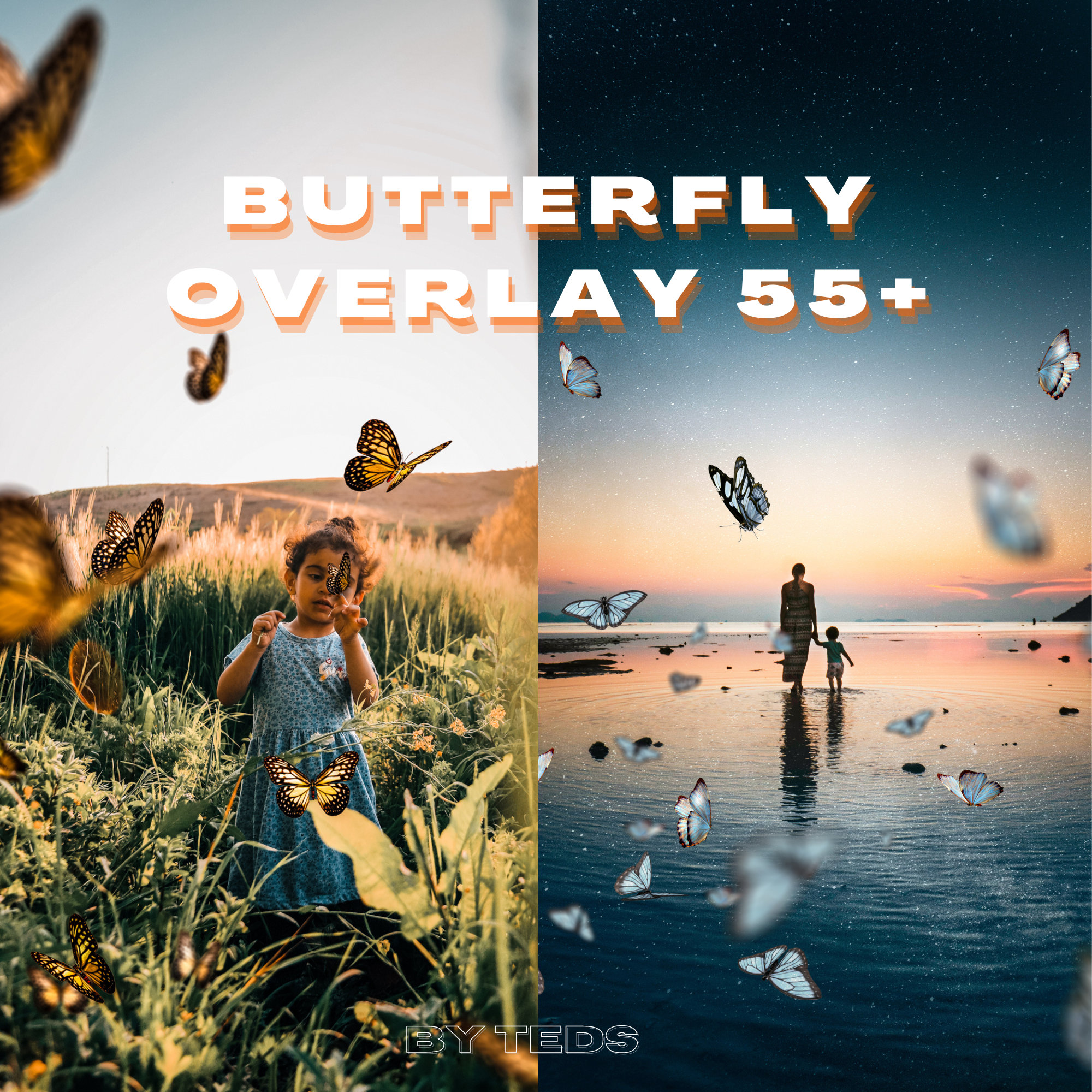 50 PNG Butterfly Overlays, Tropical, Insect Clipart, Butterfly Art ...