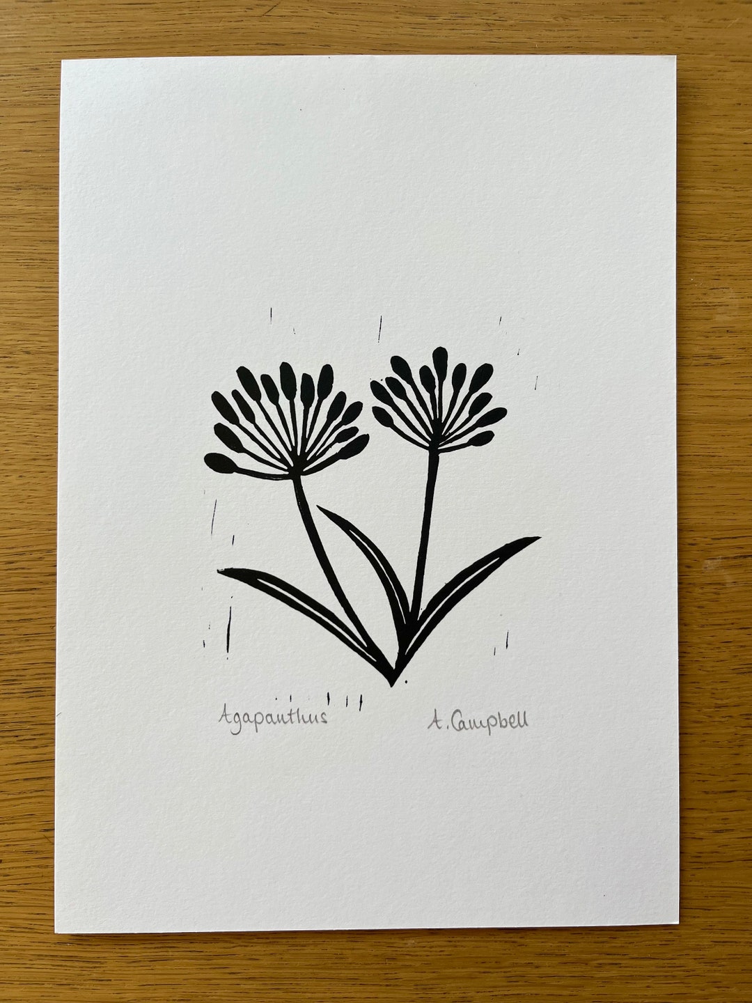 Agapanthus Original Lino Print A4 - Etsy