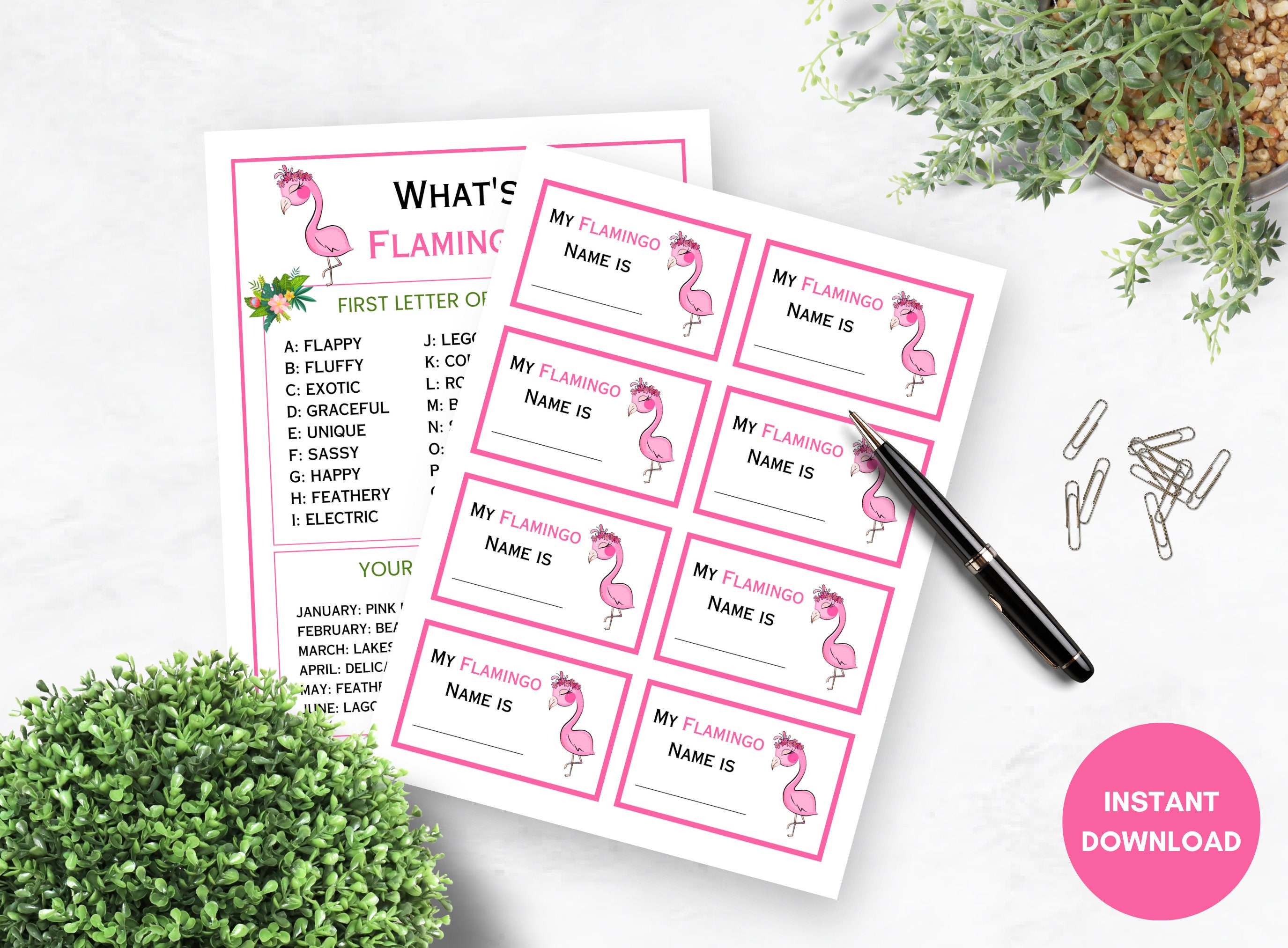 Whats Your Flamingo Name, Summer Party Game for Kids and Adults, Pink ...