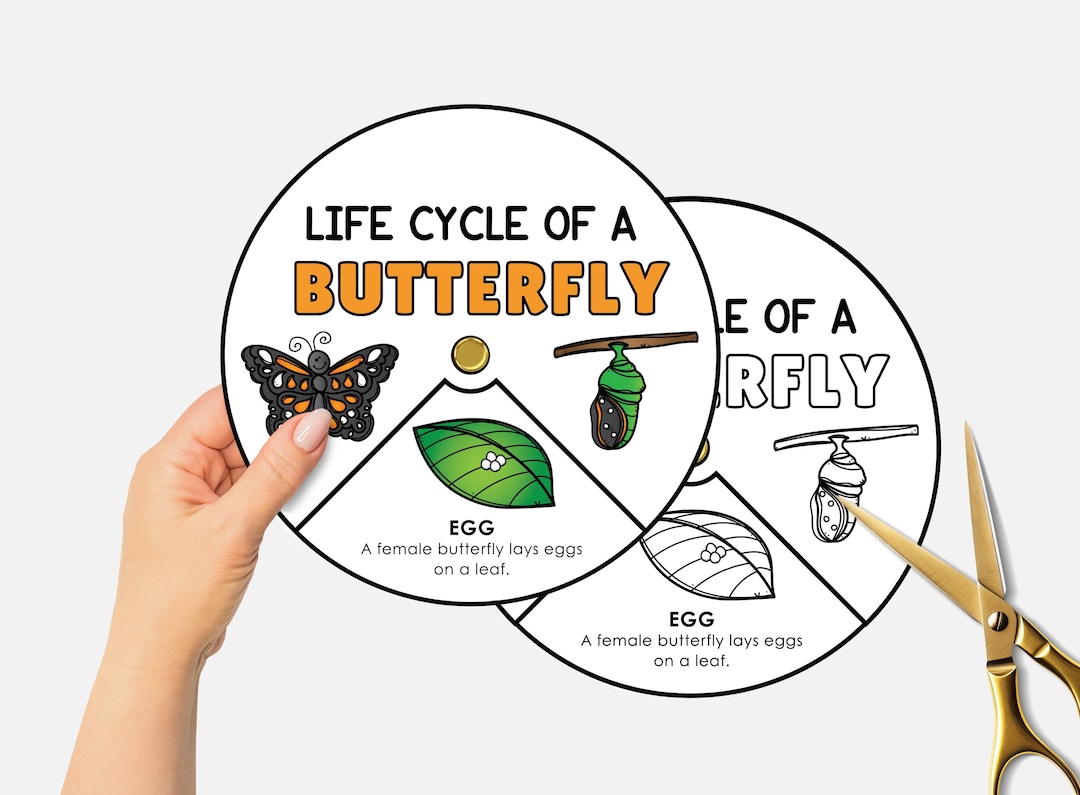 Butterfly Lifecycle Craft, Spring Coloring Activity, Life Cycle of a ...